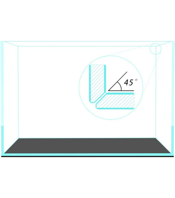 Get an Underwater View Like Never Before: The 5 Best Rimless Aquariums