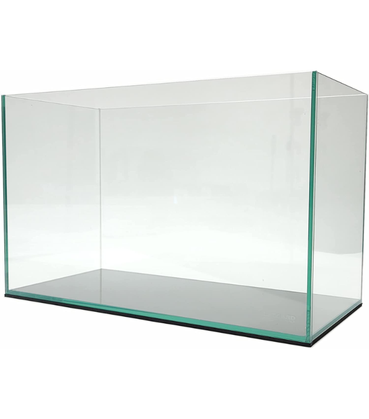 Get an Underwater View Like Never Before: The 5 Best Rimless Aquariums