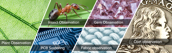 Unveiling the Best Coin Microscopes: A Numismatist's Guide