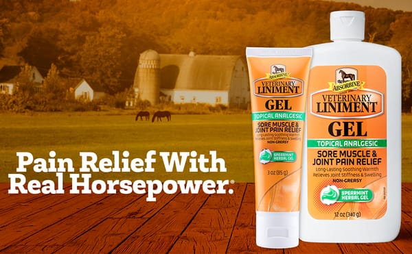 From Aches to Relief: Top-Rated Liniments for Your Horse's Wellness